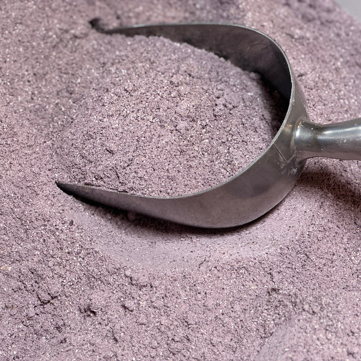 Blue Corn Polenta